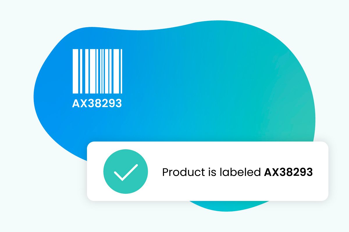 FloVision Nano - FloVision Solutions