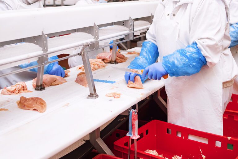 5 Proven Strategies to Streamline Poultry Processing Lines - FloVision ...