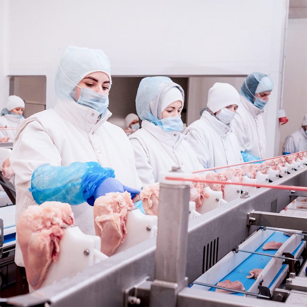 5 Proven Strategies to Streamline Poultry Processing Lines - FloVision ...
