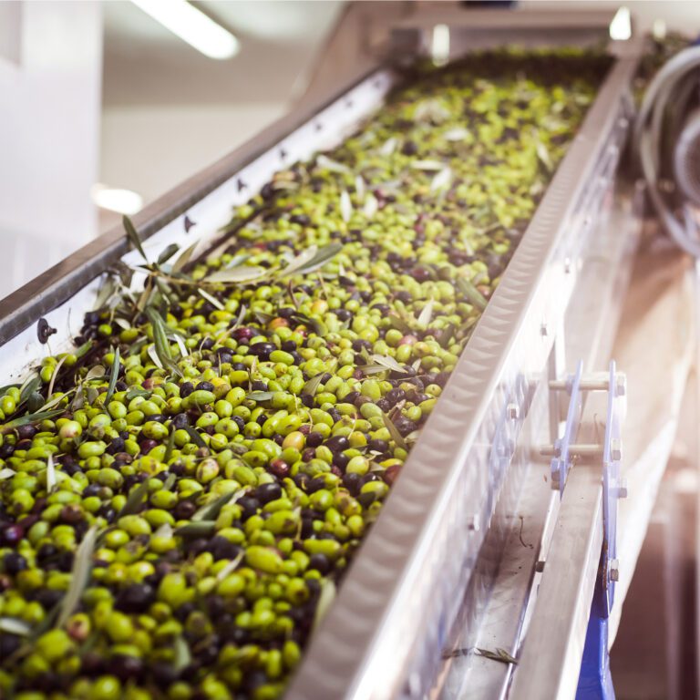 How Food Processors Can Increase Throughput and Maximize Efficiency ...